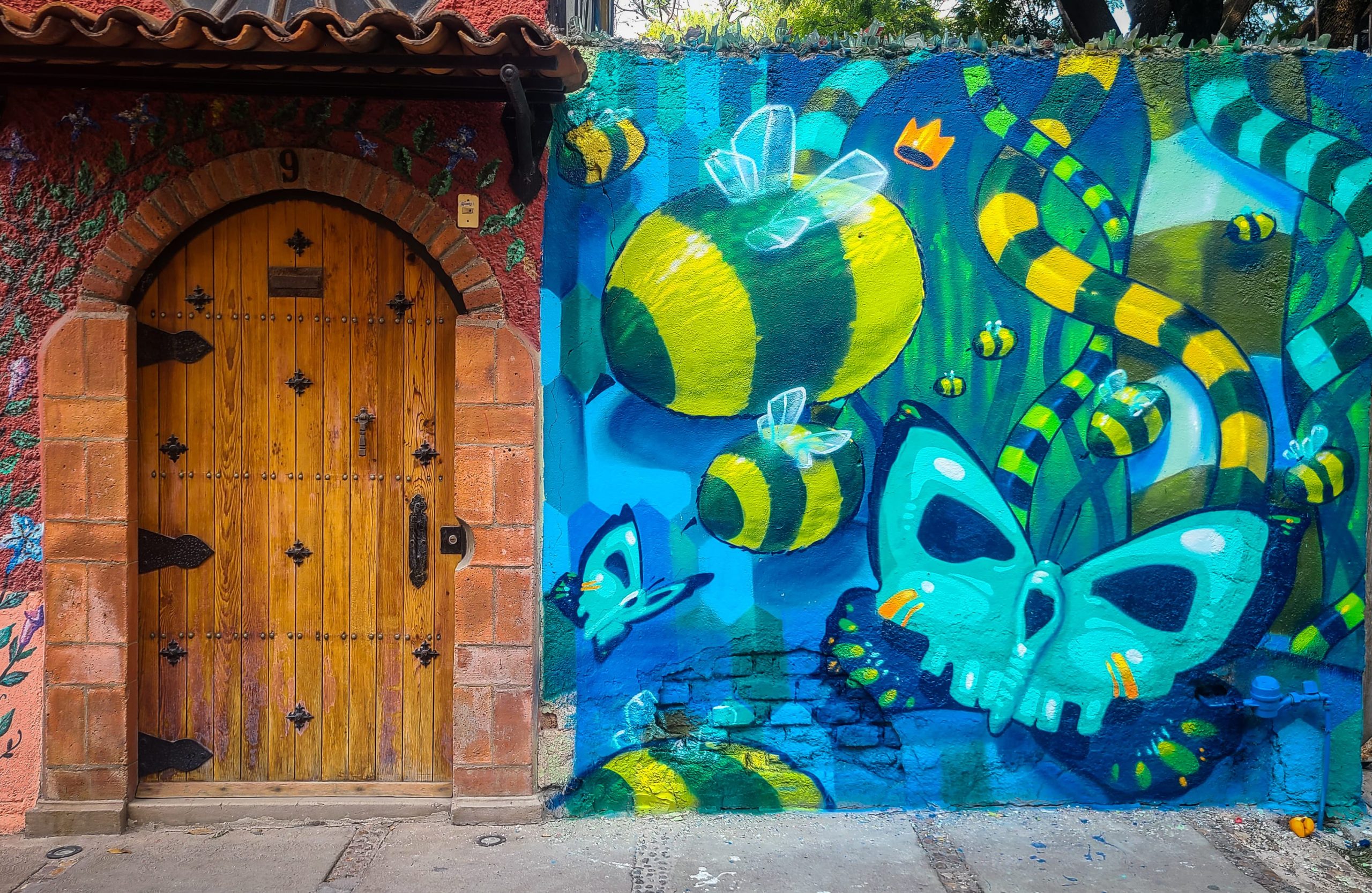 Monk.E’s Trip to Africa - The Social Eyes